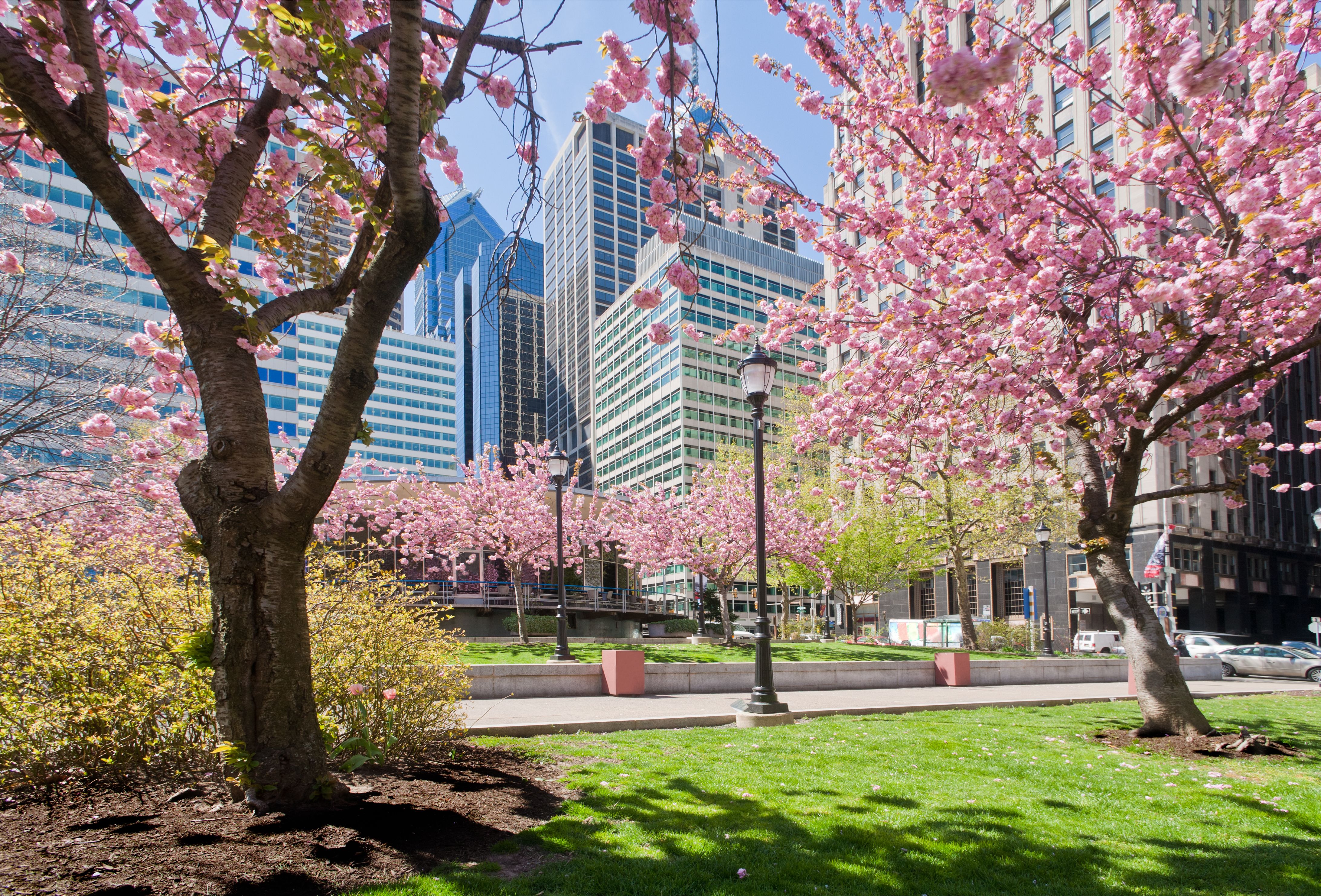 Cheap Flight Tickets from Hyderabad to Philadelphia from ₹ 68,856 ...