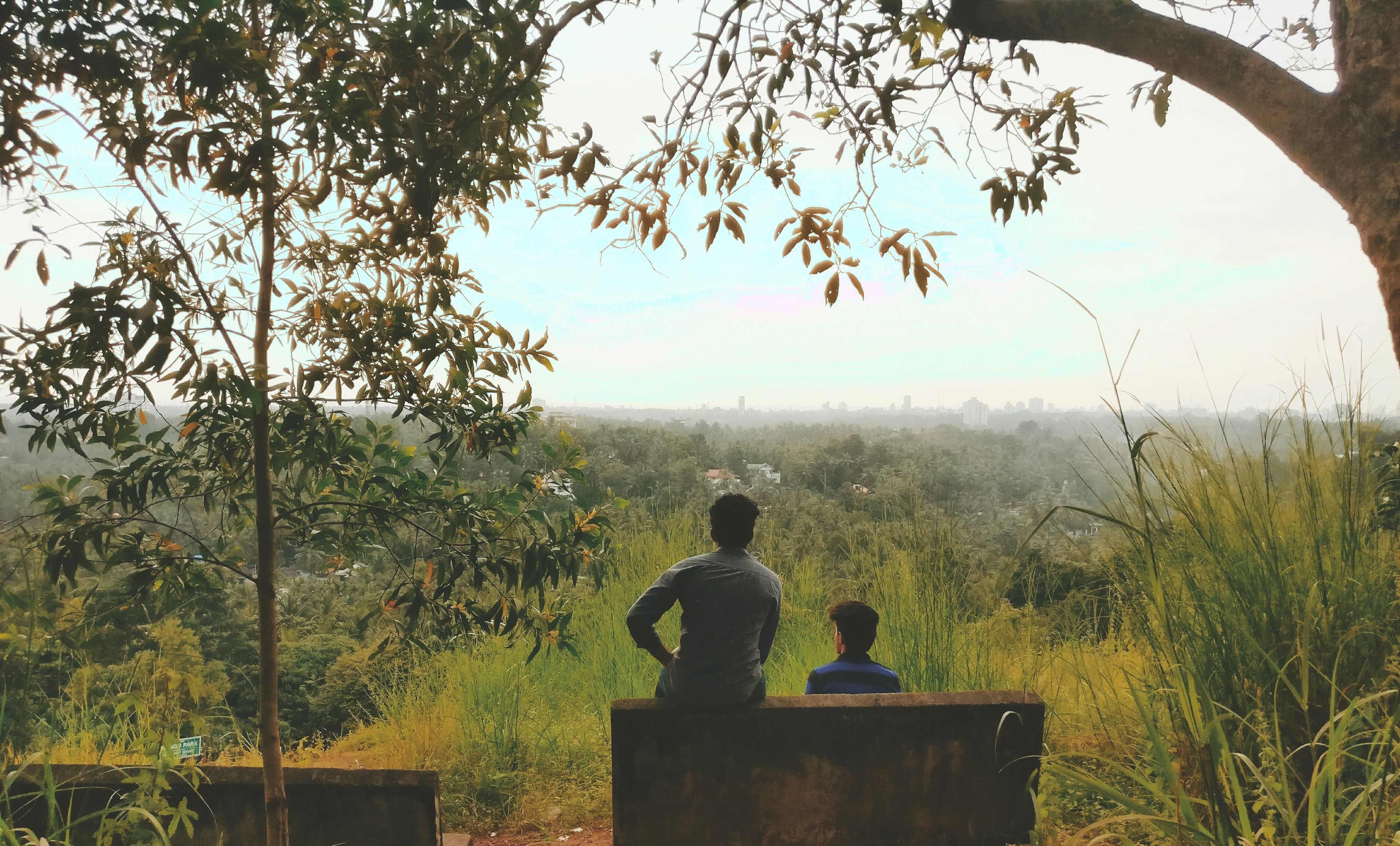Cheap Flight Tickets from Doha to Kozhikode (Calicut) from ₹ 13,111 ...
